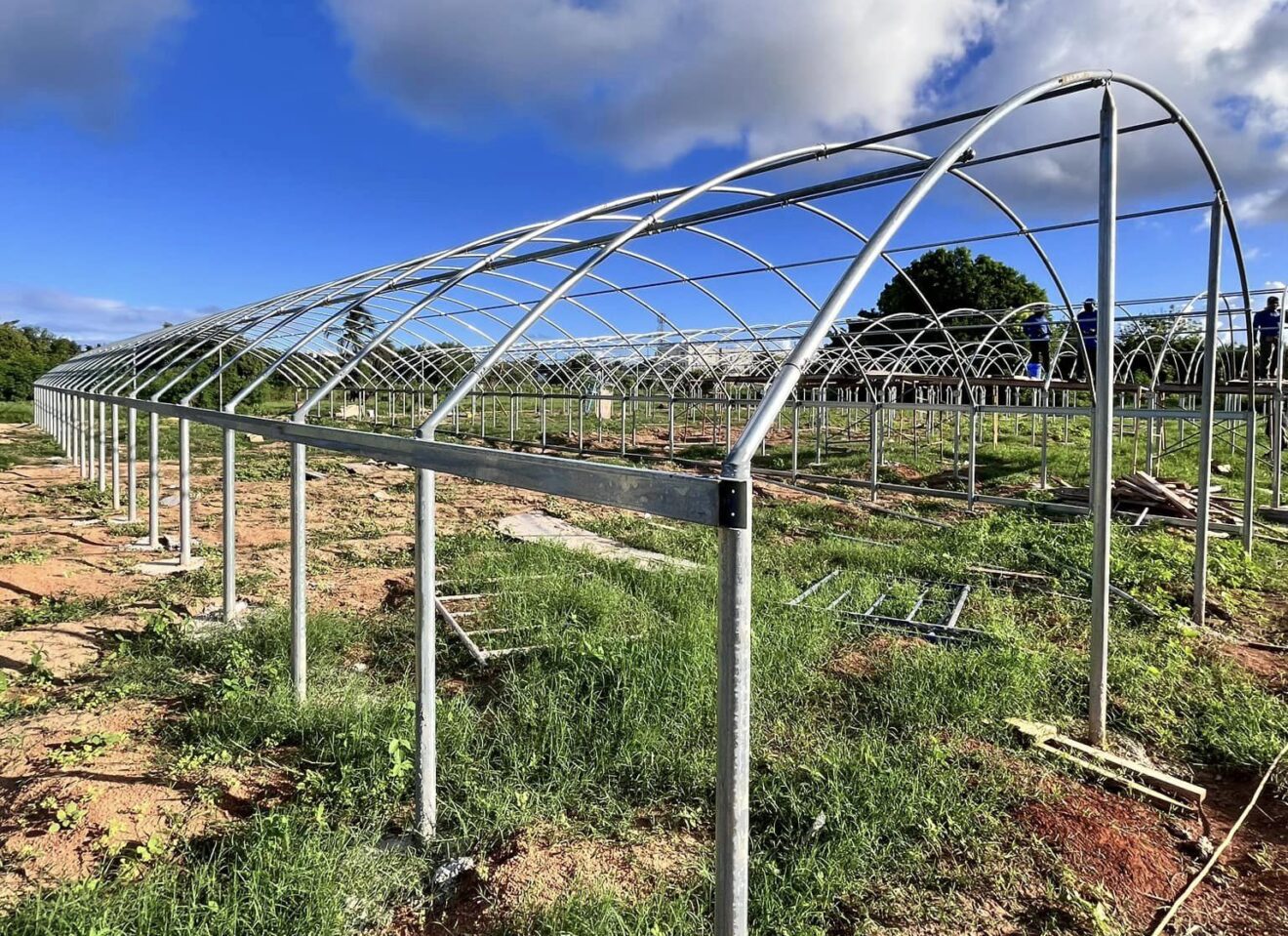 Shade houses to help Anguilla's farmers boost crop production ...