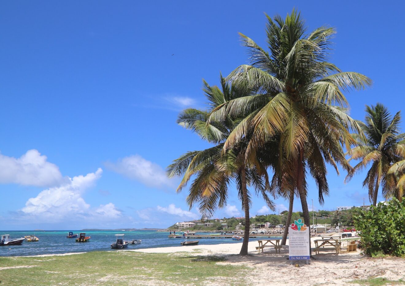 Anguilla Focus | News
