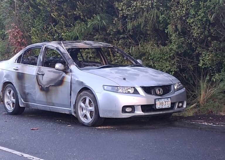Suspected murder: Man arrested after body found near burnt-out car in ...
